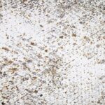 Ultimate Guide: How to Remove Oxidation from Aluminum & Clean Oxidized ...